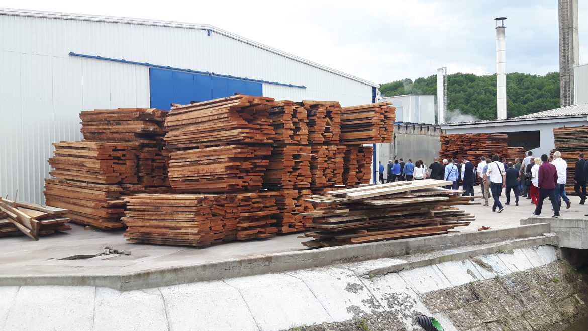 POZITIVNA MEDIJSKA KAMPANJA: HRT najavio pravedan raspored trupaca ...